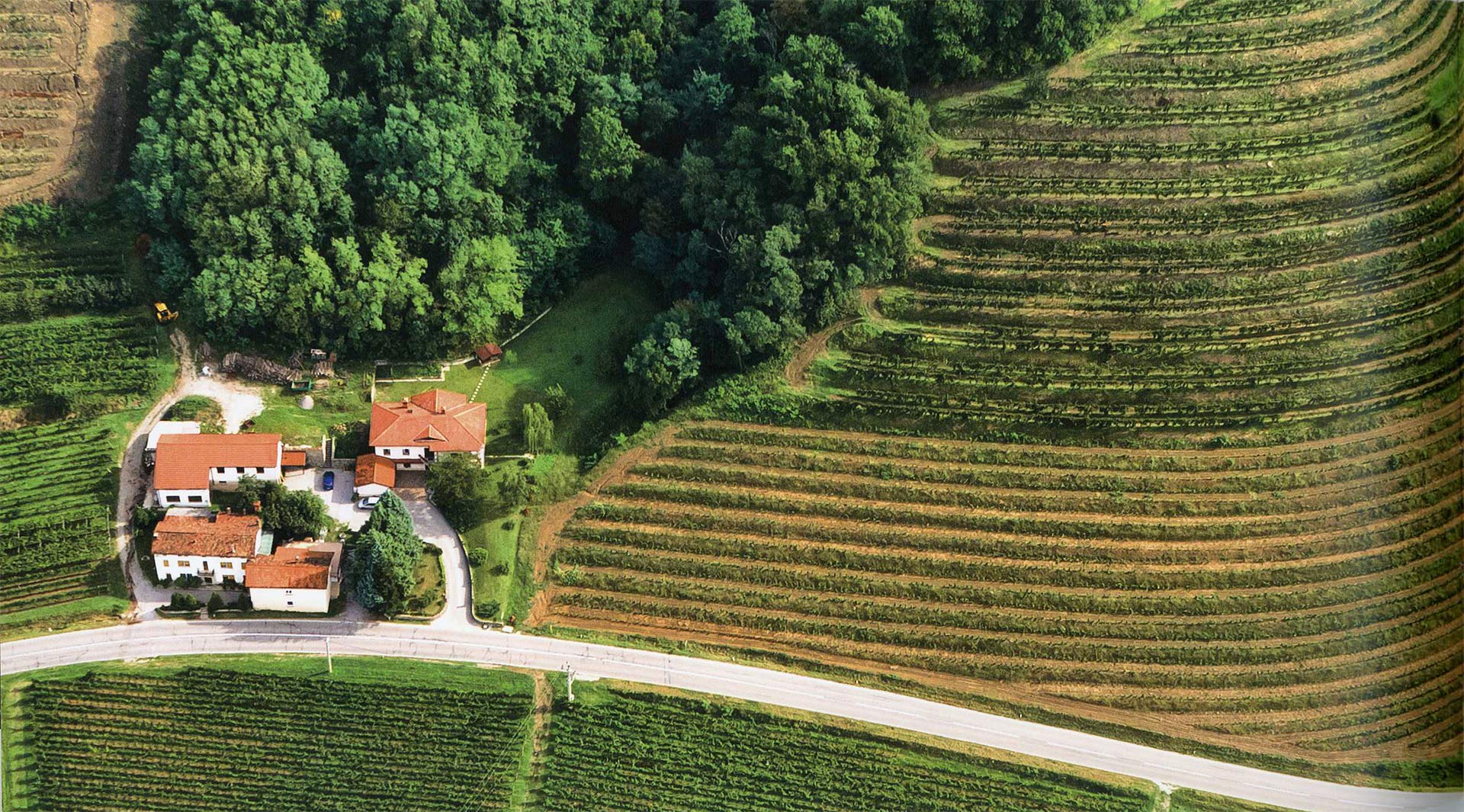 Dobrodošli | Vina Colja, Vipavska dolina